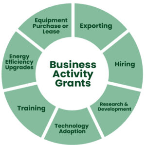 How Business Grants Work: 4 Main Types of Business Grants